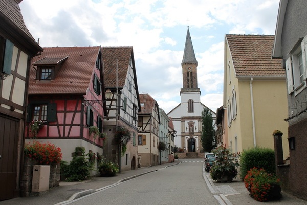 Affenberg - La Montagne des Singes im Elsass