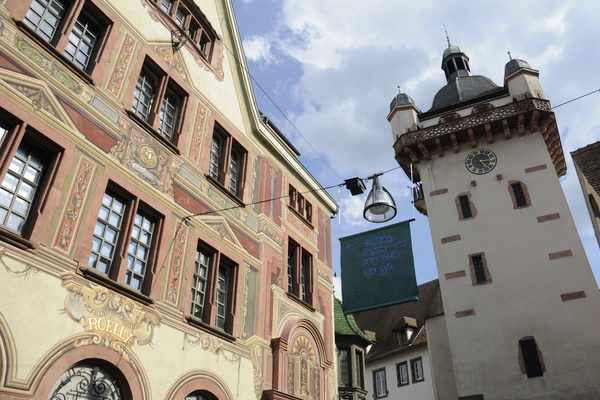 Affenberg - La Montagne des Singes im Elsass